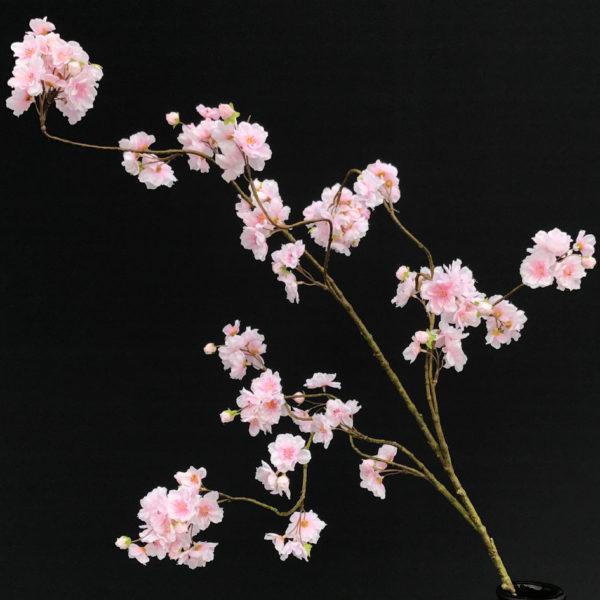 Kunsttakken Archieven | Kunst bloesembomen